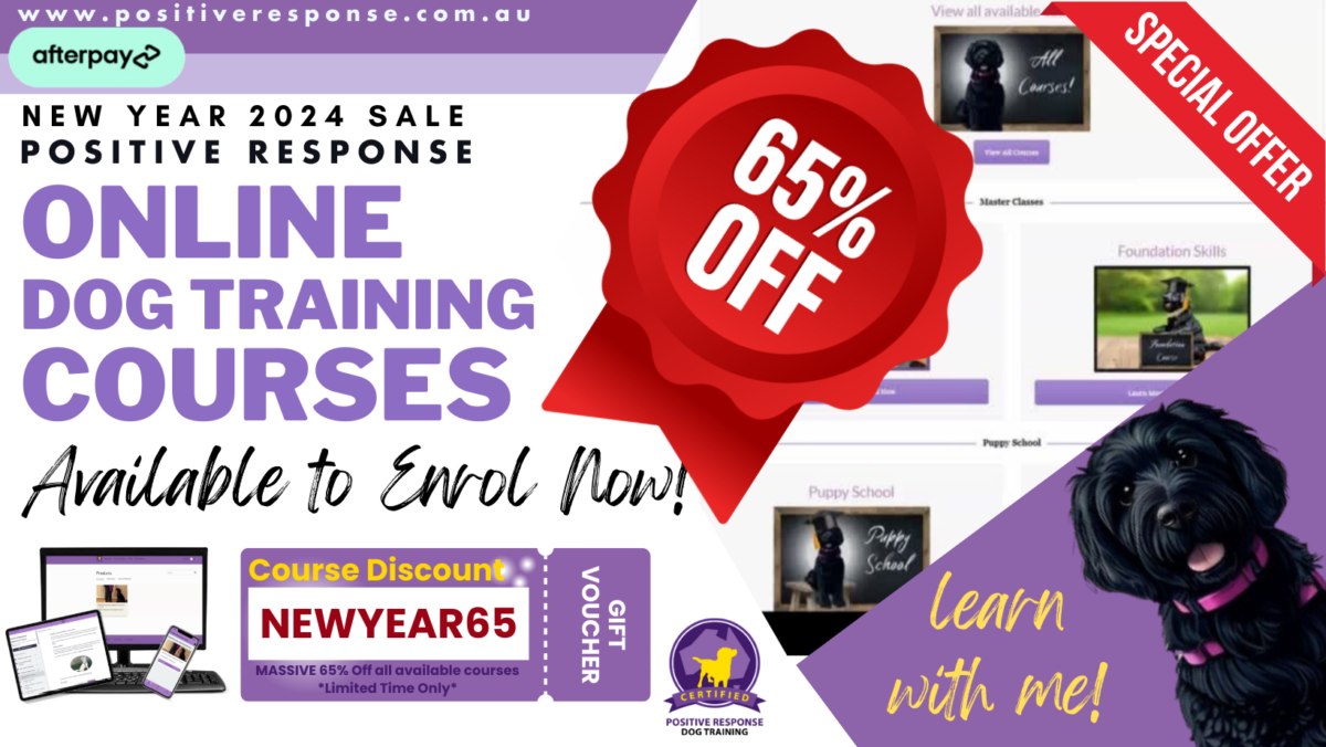 Online E-Learning Dog Training Courses